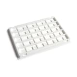 Tissue & Slide Processing Slide Trays | Marketlab