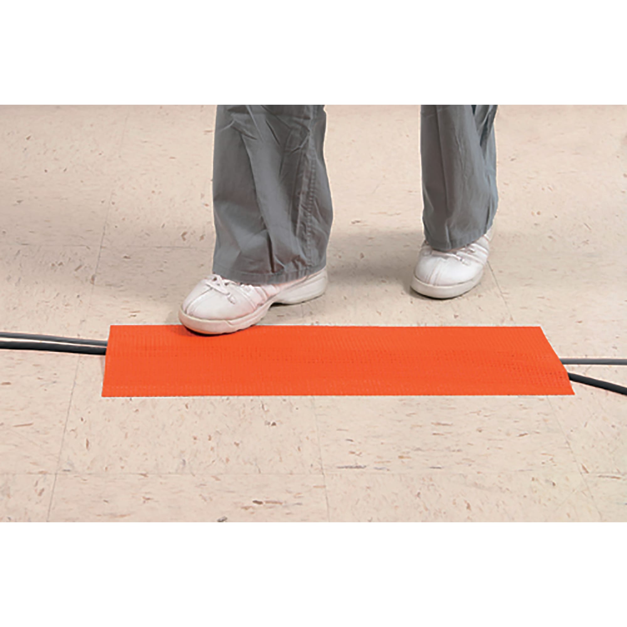 Search Results | Marketlab