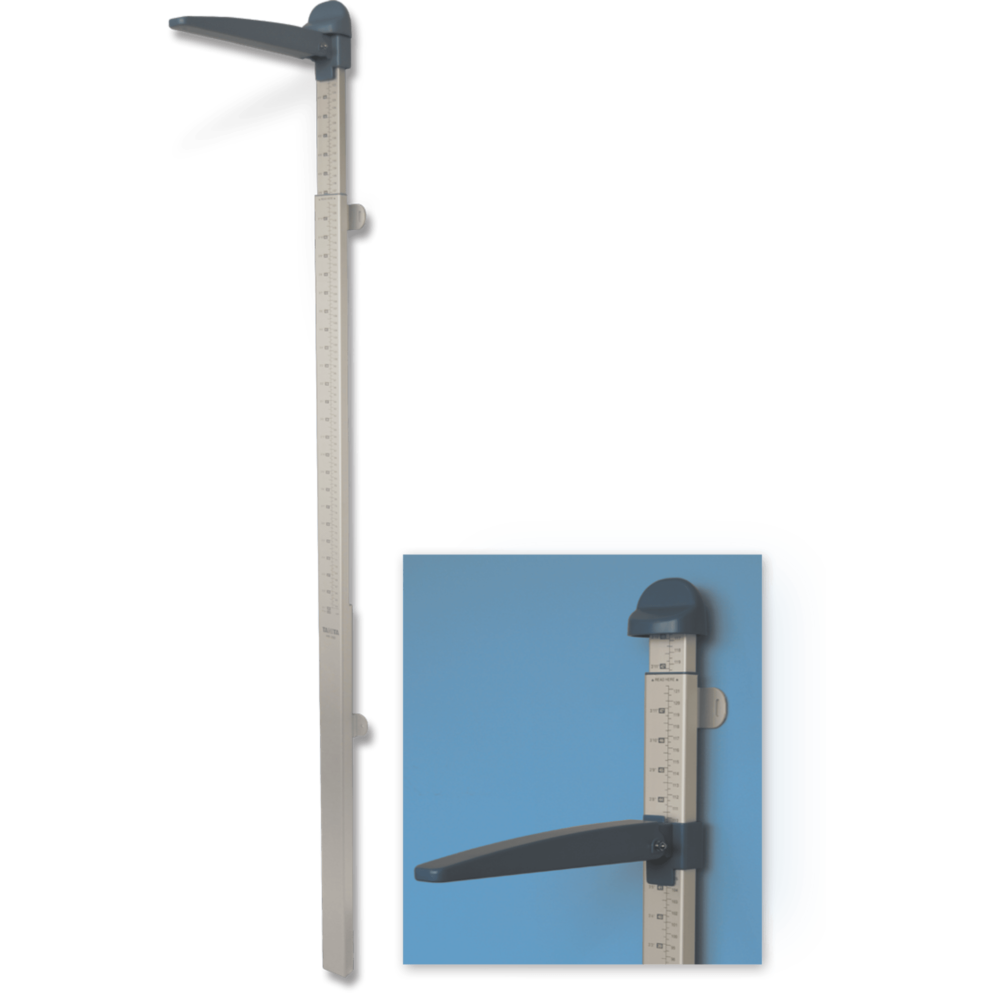 Mechanical Stadiometer Wall