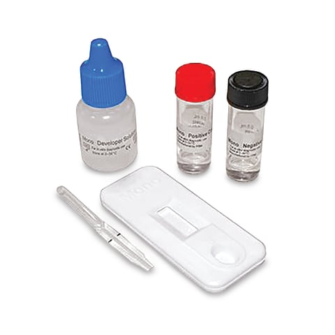 Rapid Mono Test Kit | Marketlab