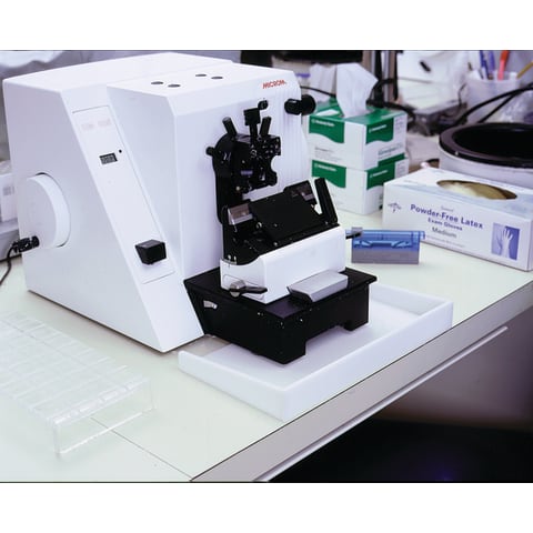 Marketlab Paraffin Collection Tray | Marketlab