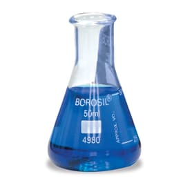 50mL Glass Erlenmeyer Flasks - Marketlab